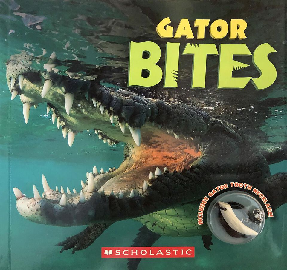 Gator Bites Scholastic Canada Book Clubs gator-bites-scholastic-canada-book-clubs