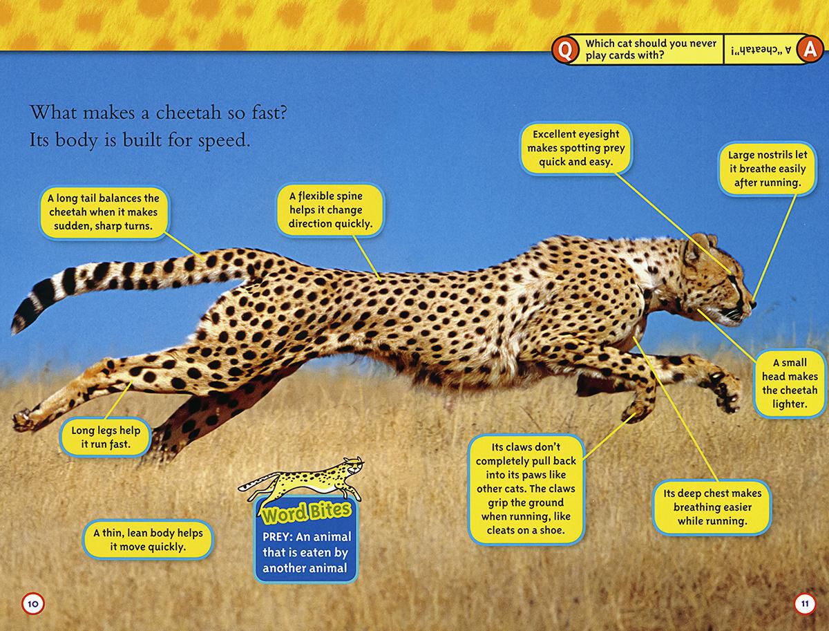 National Geographic Kids: Animal Readers 5-Pack | Scholastic Canada ...