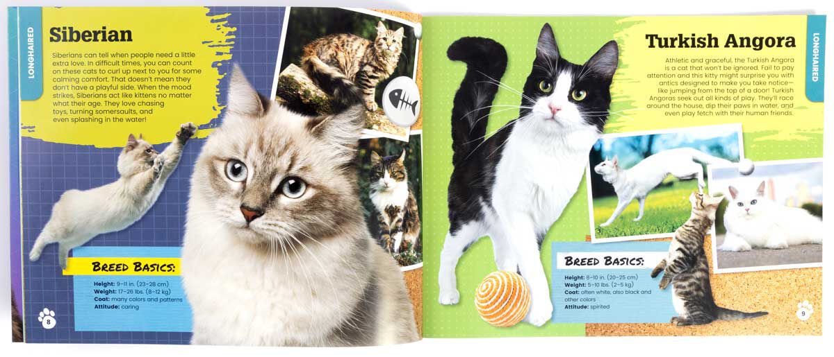 Cool Cats! with Necklace | Scholastic Canada Book Clubs