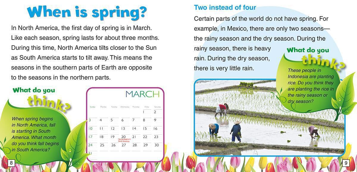 Seasons Close-Up 4-Pack | Scholastic Canada Book Clubs