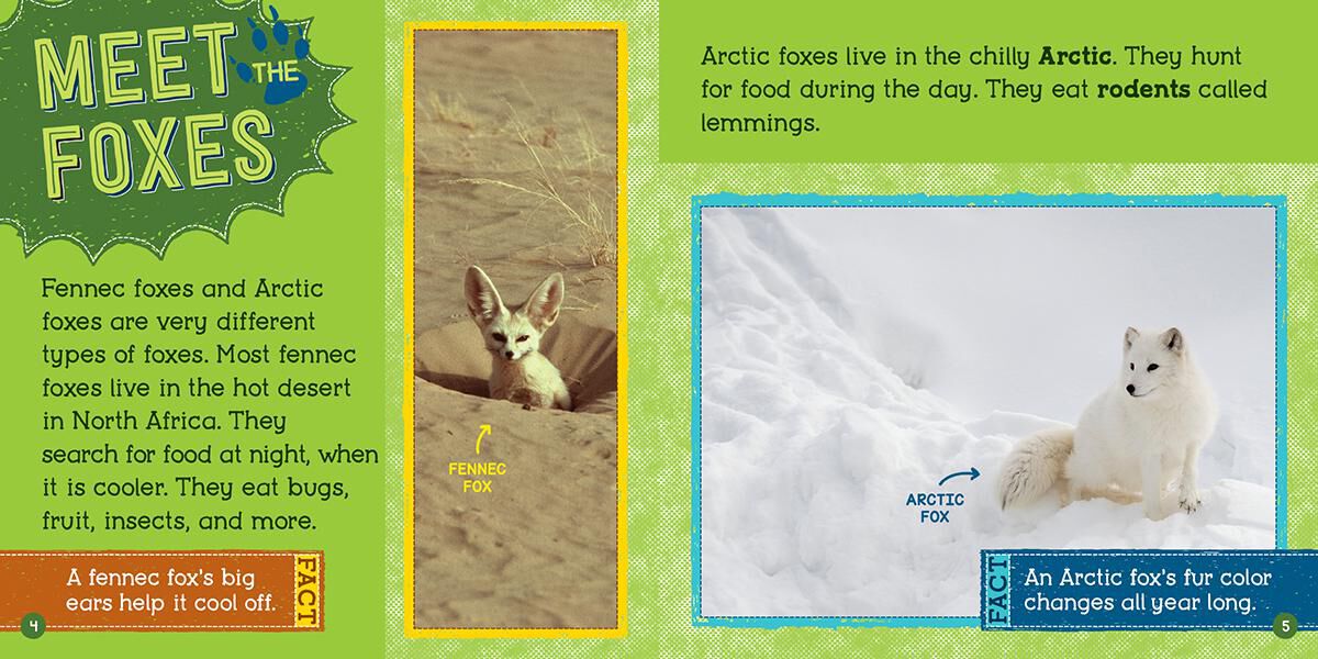 Animals Living in Extreme Weather 3-Pack | Scholastic Canada Book Clubs