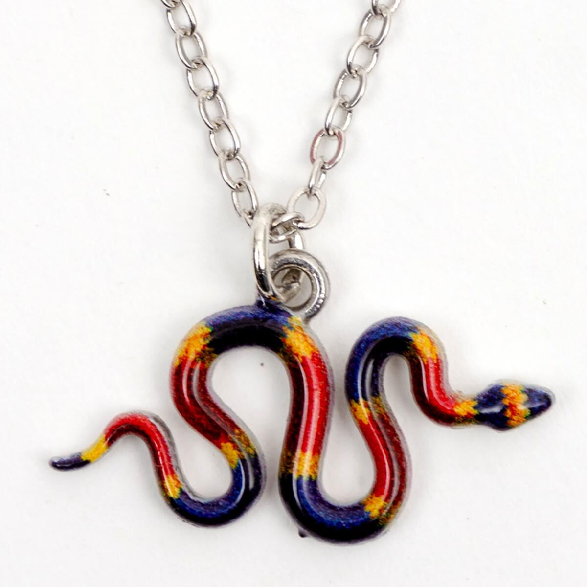 Snake Bites | Scholastic Canada Book Clubs