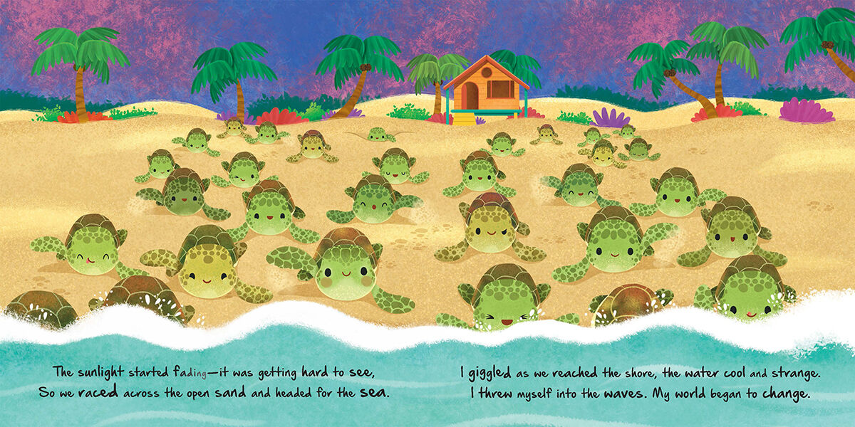 Little Turtle | Scholastic Canada Book Clubs