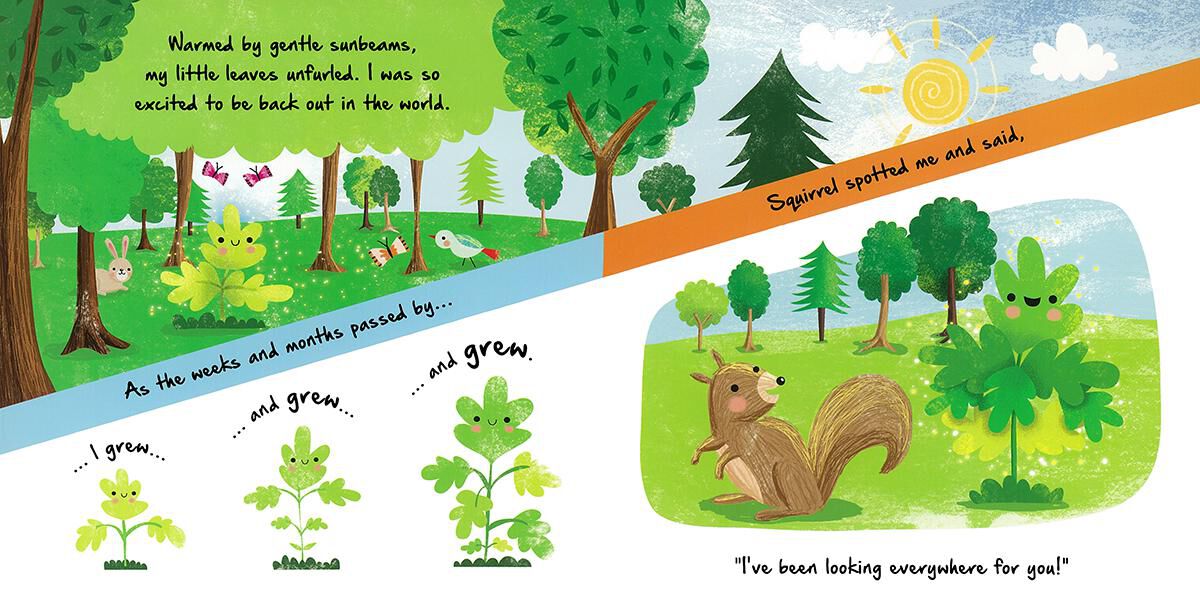 Little Acorn | Scholastic Canada Book Clubs