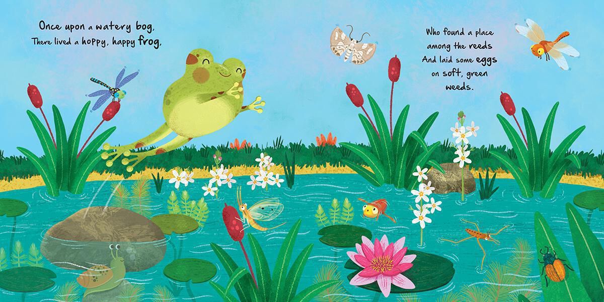 Little Frog | Scholastic Canada Book Clubs