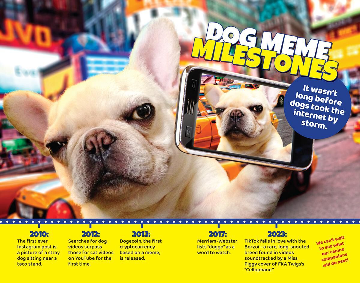 Dogs Rule! Pics, Memes and Activities to Make You Smile | Scholastic ...