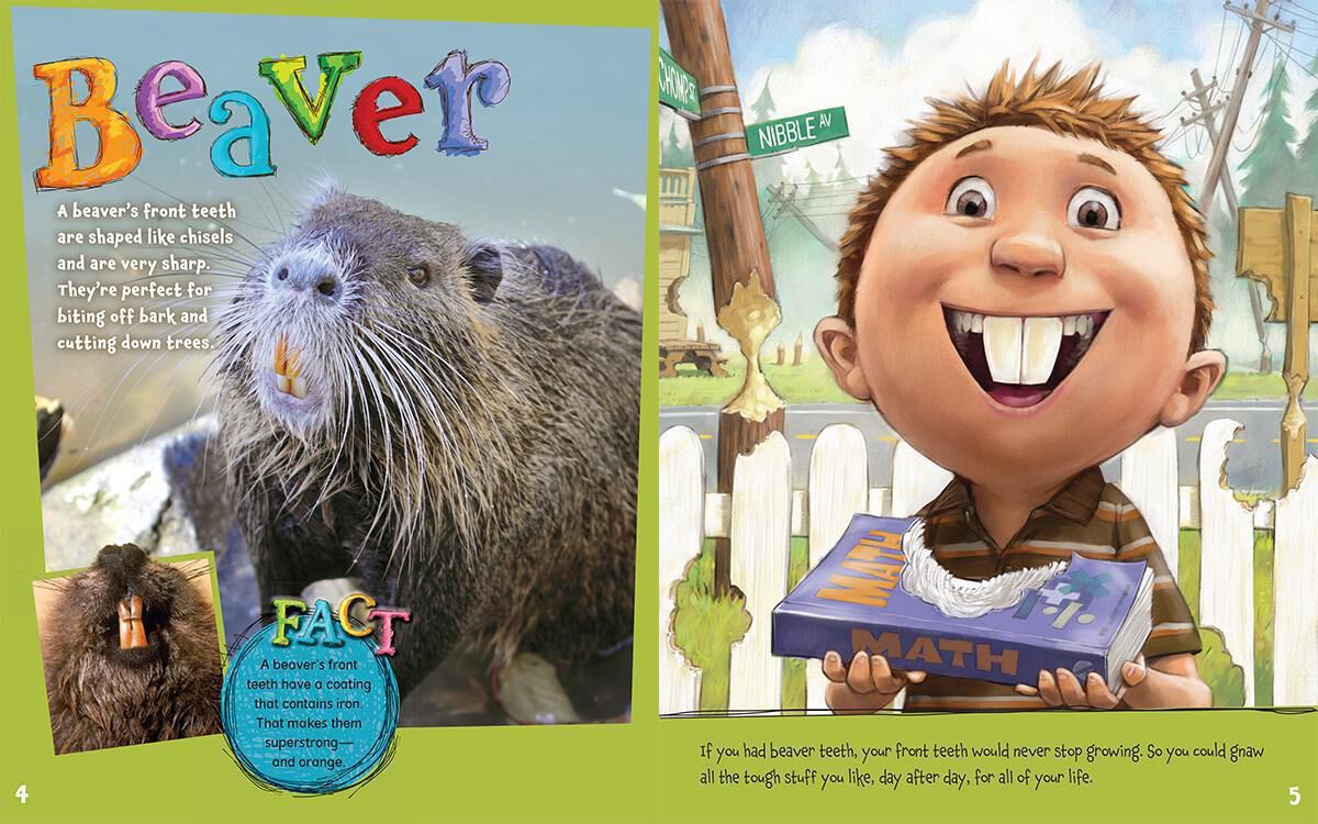 What If You Had Animal... 12-Pack | Scholastic Canada Clubs de lecture