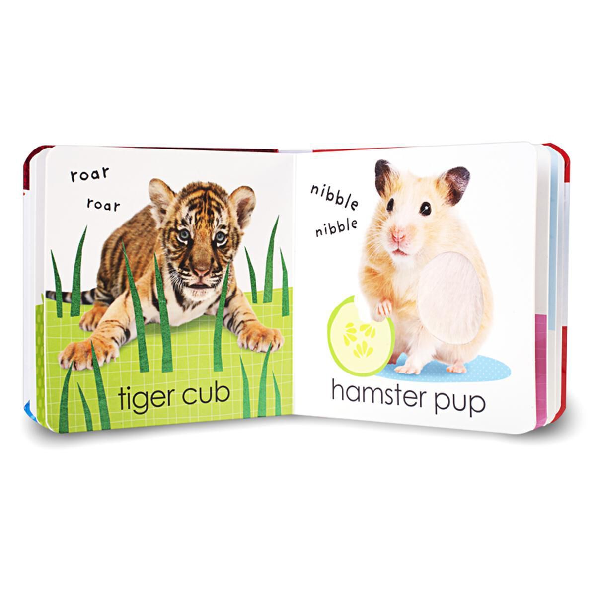 Touch & Feel Board Books 5-Pack | Scholastic Canada Book Clubs