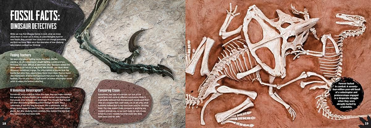 T Rex and Other Mesozoic Monsters | Scholastic Canada Book Clubs