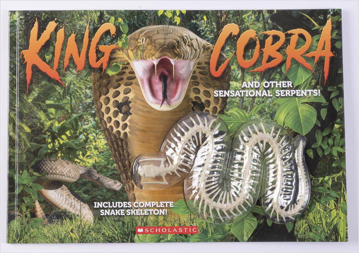 King Cobra and Other Sensational Serpents | Scholastic Canada Book Clubs