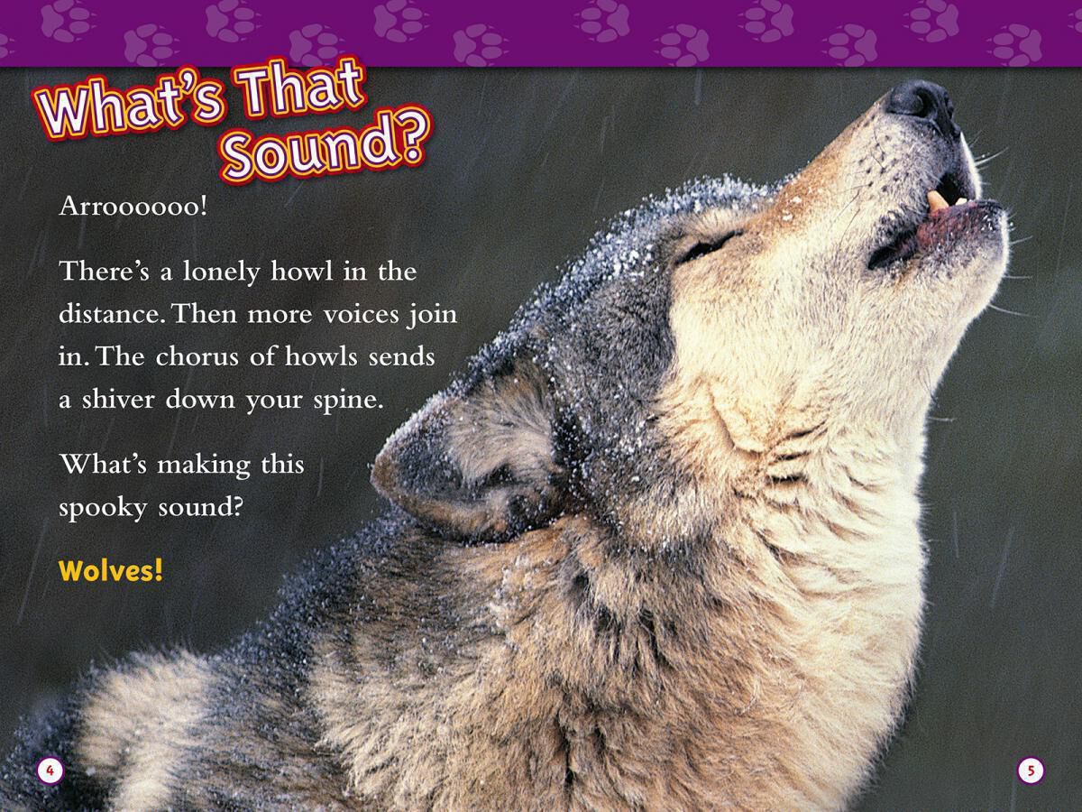 National Geographic Kids Predators 6-Pack | Scholastic Canada Book Clubs