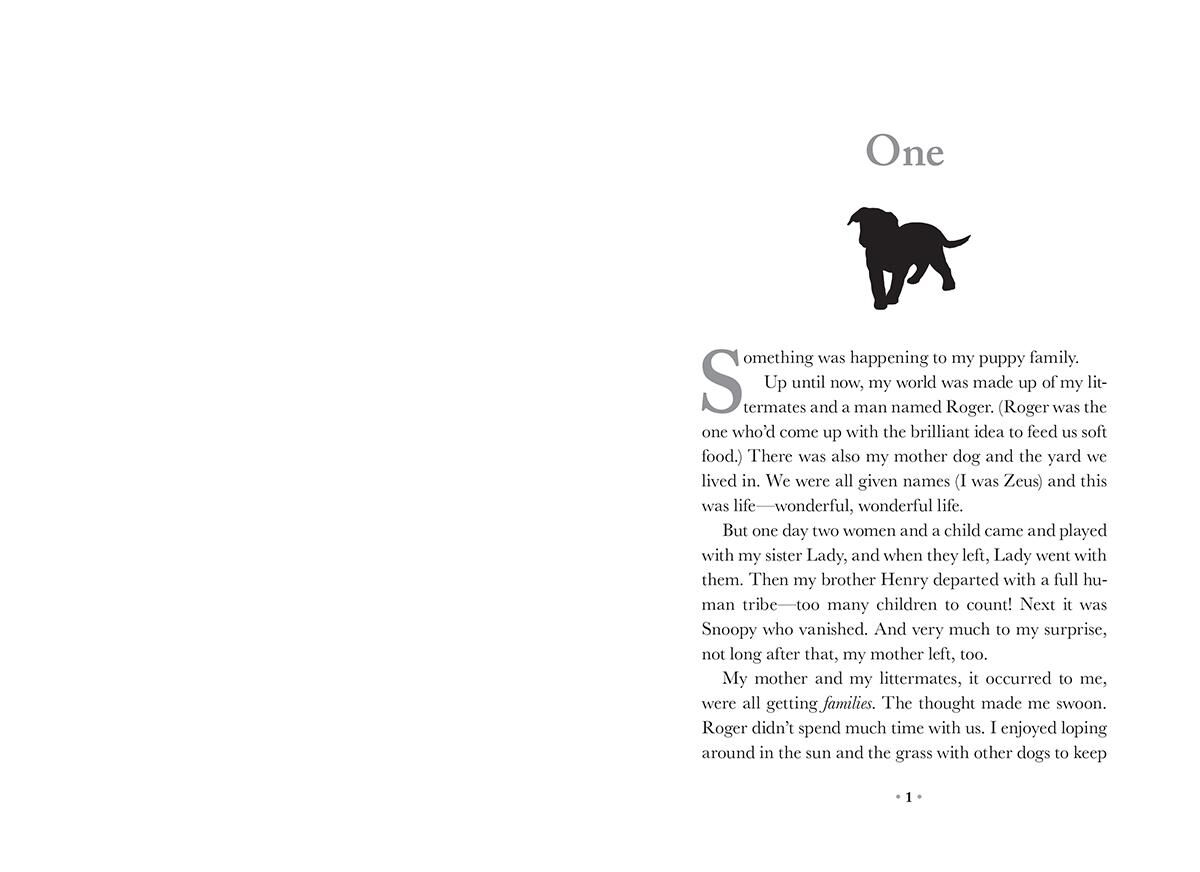 Zeus: Water Rescue | Scholastic Canada Book Clubs