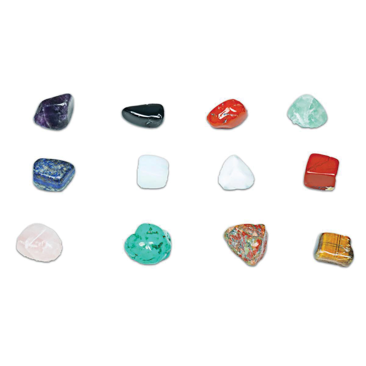 Gem Vault | Scholastic Canada Book Clubs