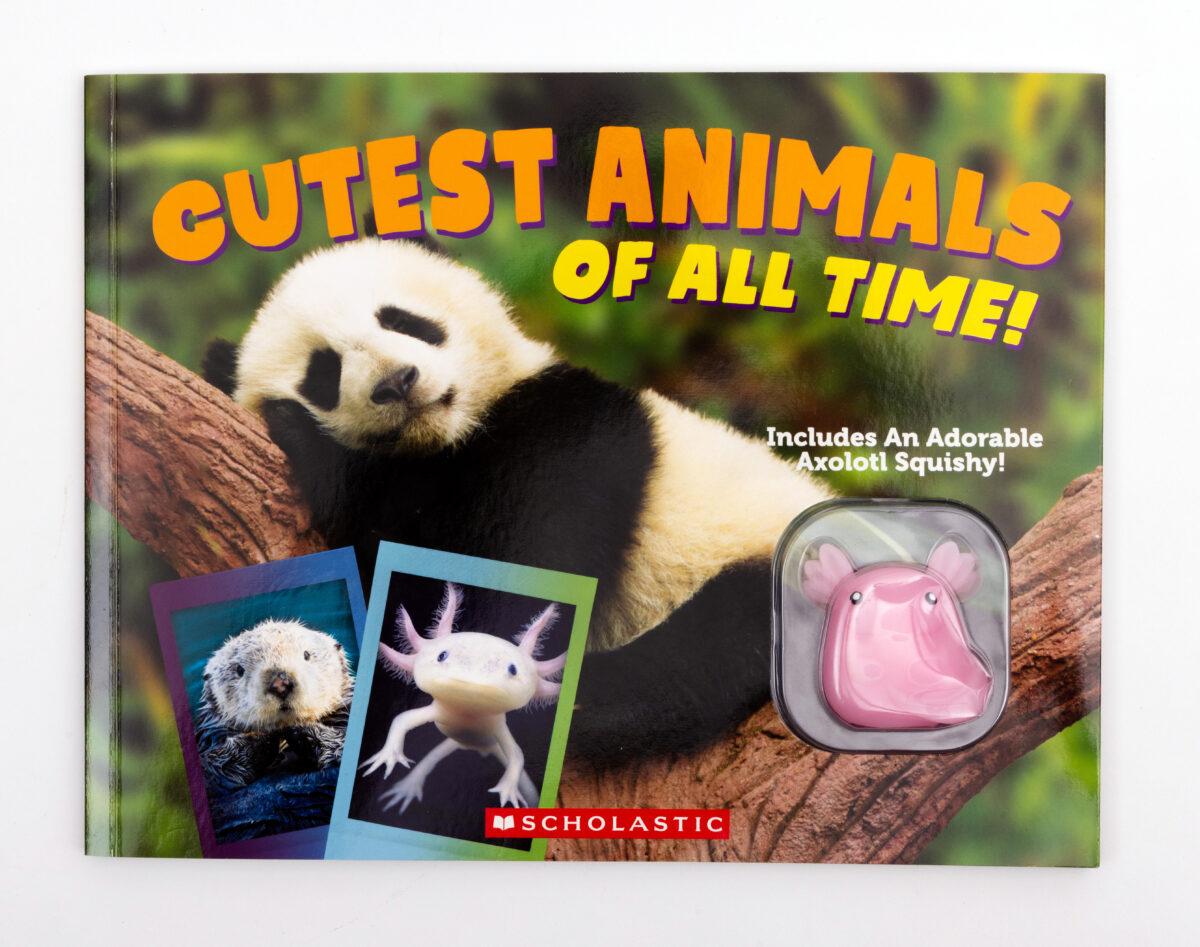 Grade 3 | Scholastic Canada Book Clubs